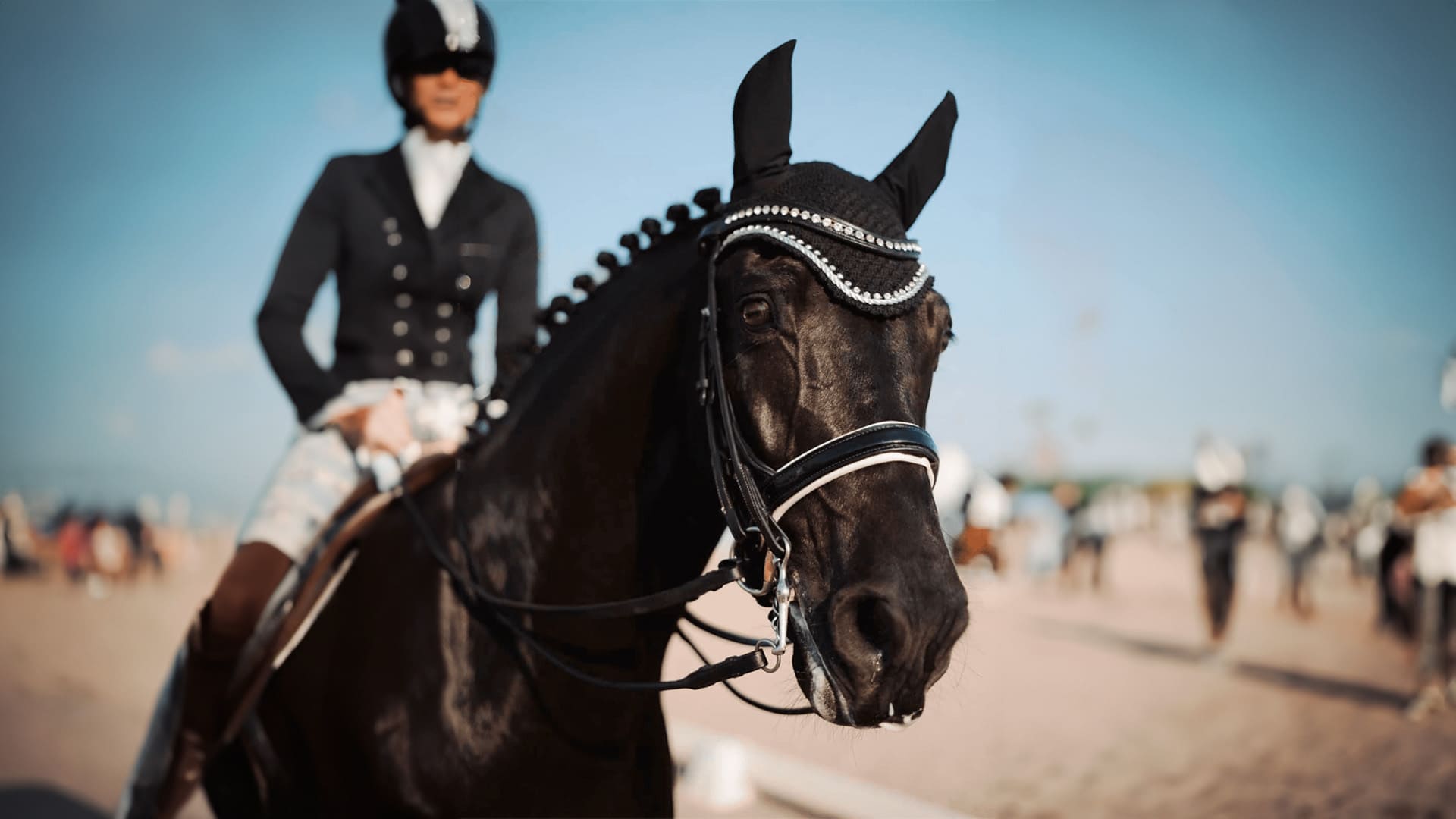 Equestrian Care | Tyrance Orthopedics & Sports Medicine