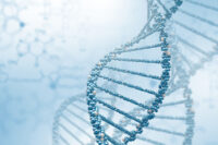 Vitamin D3 with K2: The Synergistic Effect of a Powerful Duo for ...