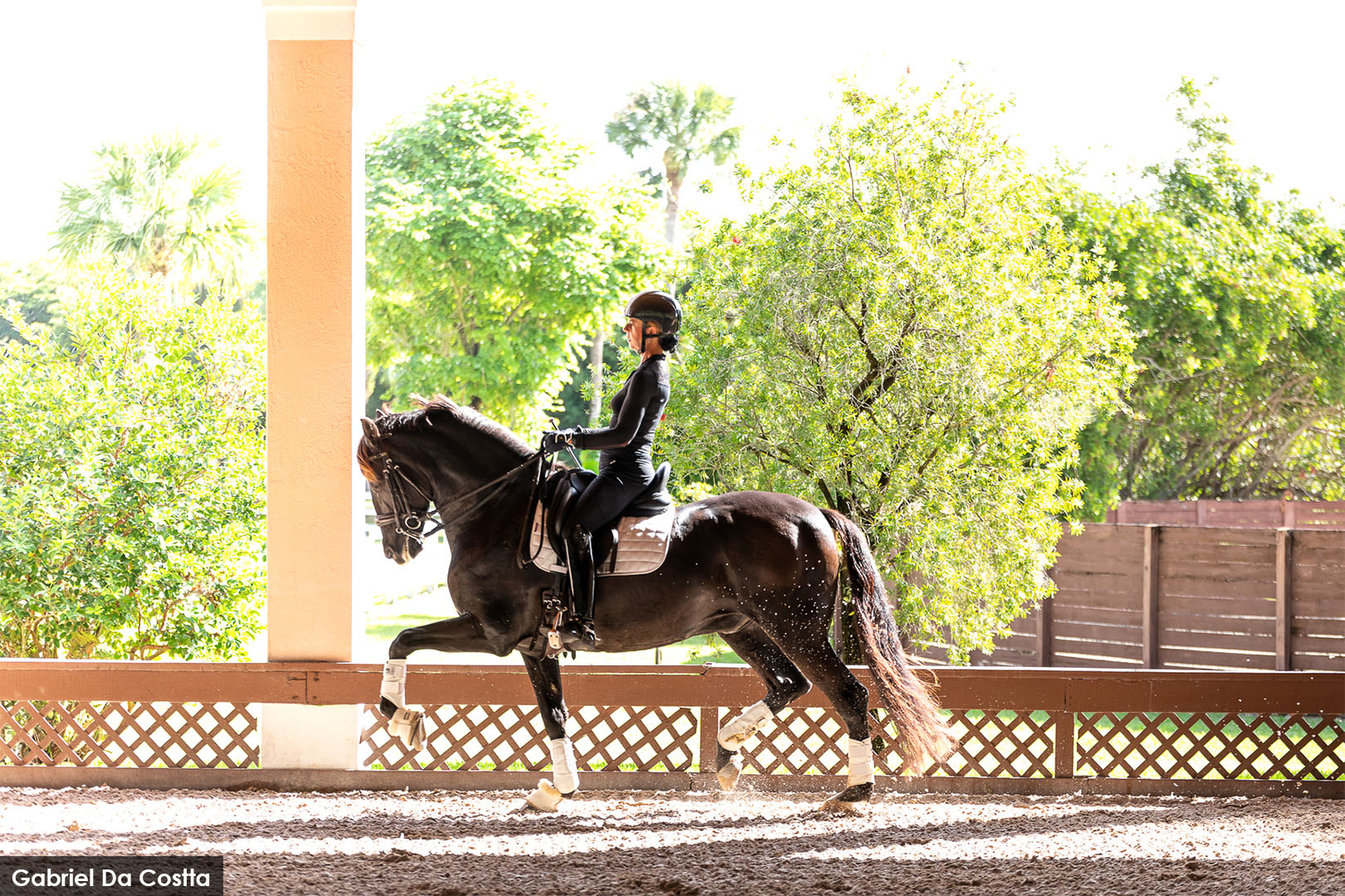 Ride Better, Ride Longer: Elevating Equestrian Wellness with ...